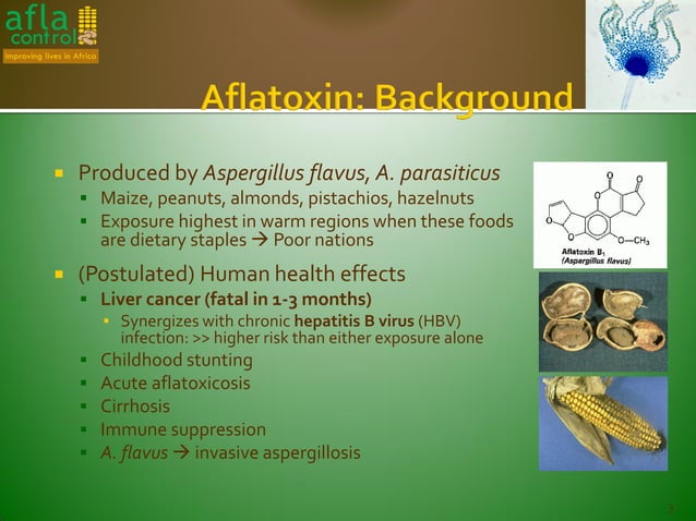 Measuring the burden of aflatoxin induced human disease | PDF ...