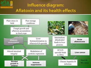 Measuring the burden of aflatoxin induced human disease | PDF ...