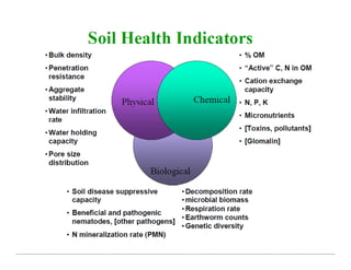 Measuring the effect soil conservation sundermeier | PDF