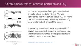 Measuring Tissue Perfusion and PO2 in Conscious Animals to Investigate ...