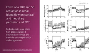 Measuring Tissue Perfusion and PO2 in Conscious Animals to Investigate ...