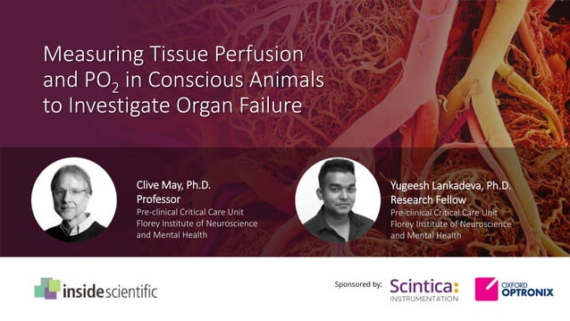 Measuring Tissue Perfusion and PO2 in Conscious Animals to Investigate ...