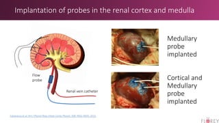 Measuring Tissue Perfusion and PO2 in Conscious Animals to Investigate ...