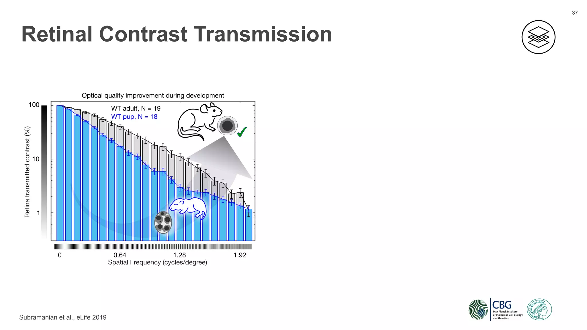 Measuring visual acuity and contrast sensitivity by optomotor reflex in ...