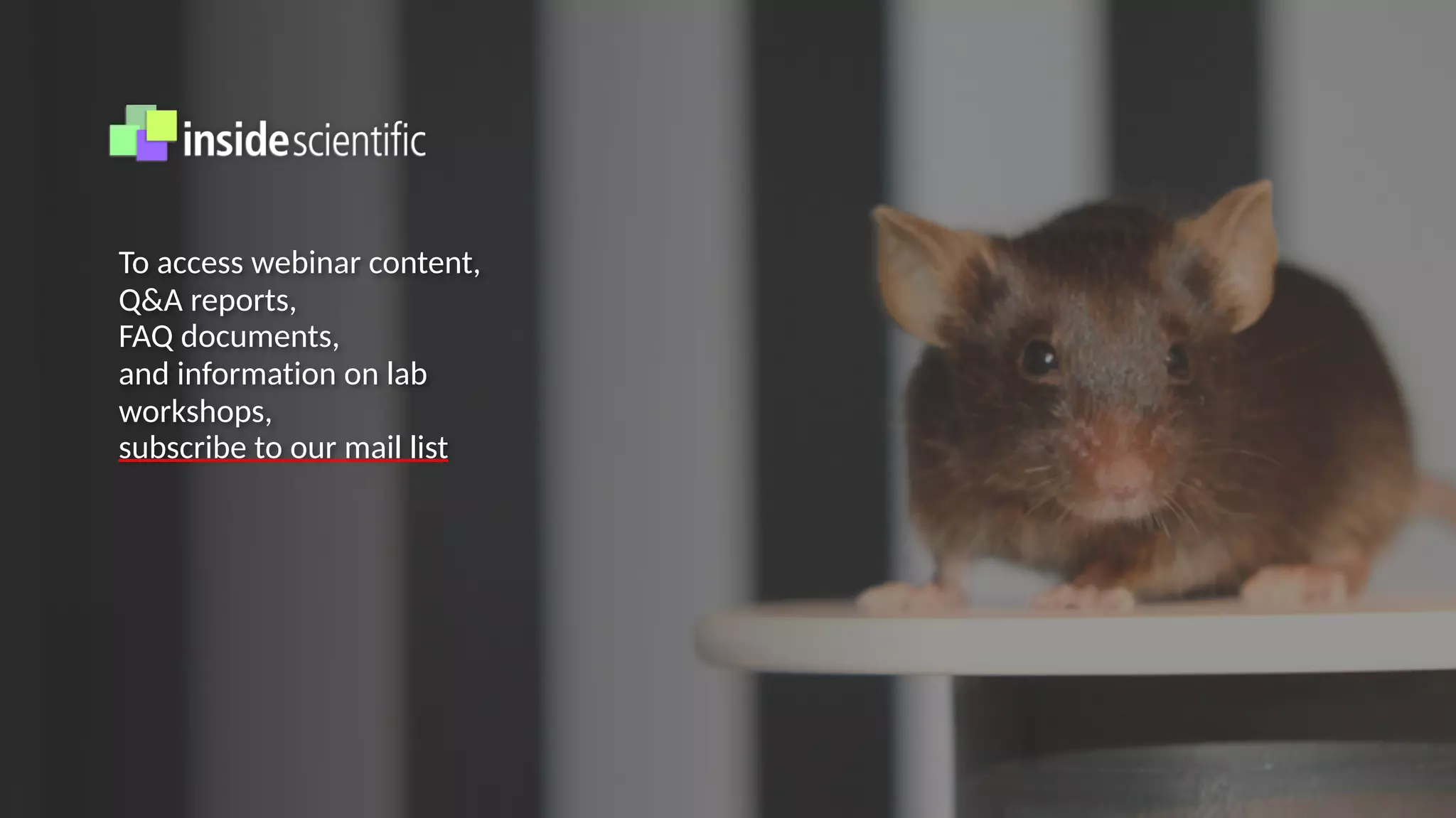 Measuring visual acuity and contrast sensitivity by optomotor reflex in ...