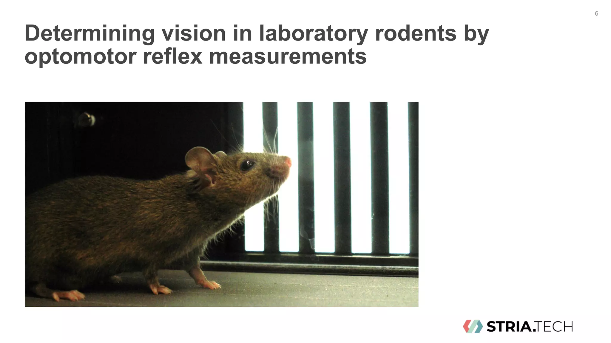 Measuring visual acuity and contrast sensitivity by optomotor reflex in ...