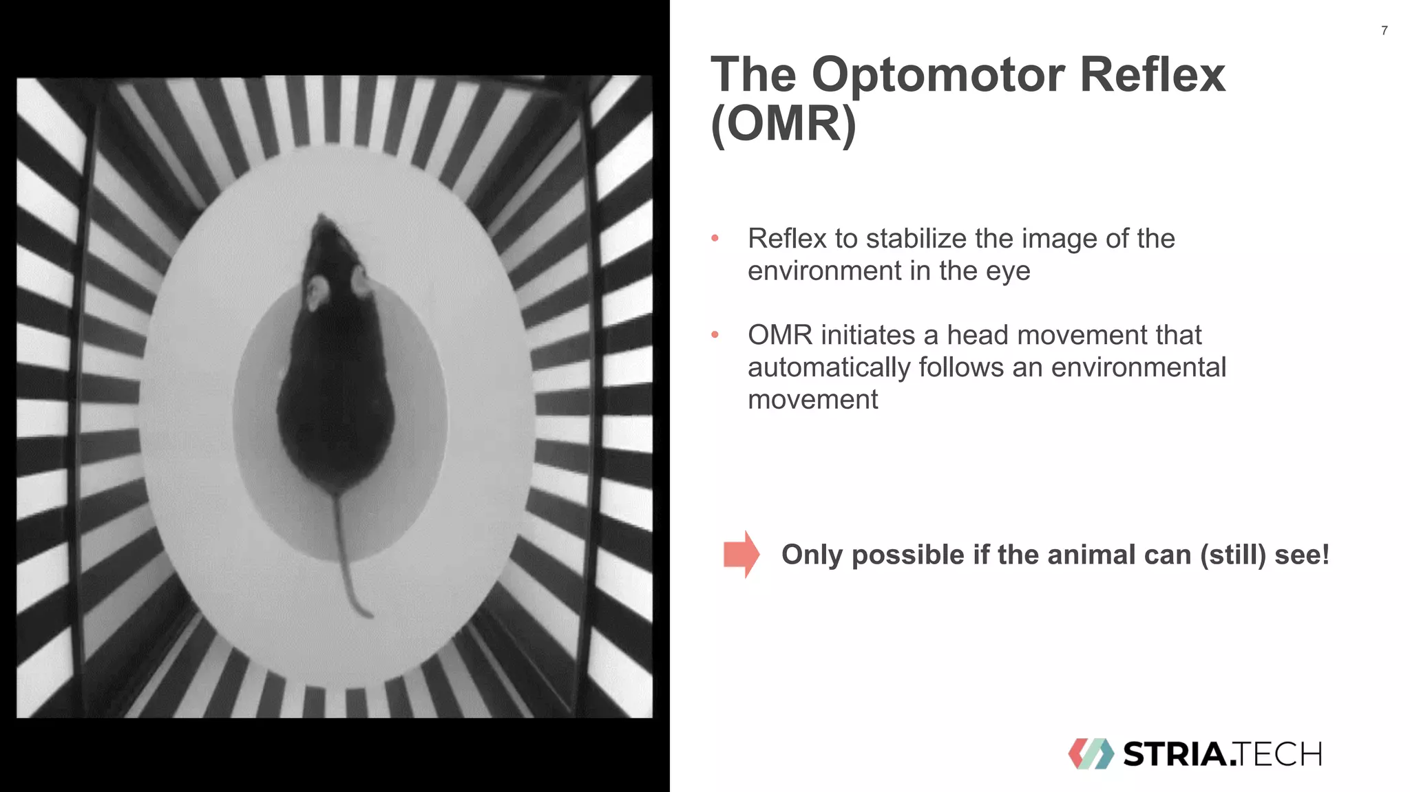 Measuring visual acuity and contrast sensitivity by optomotor reflex in ...