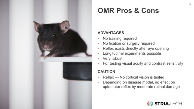Measuring visual acuity and contrast sensitivity by optomotor reflex in ...