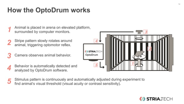 Measuring visual acuity and contrast sensitivity by optomotor reflex in ...