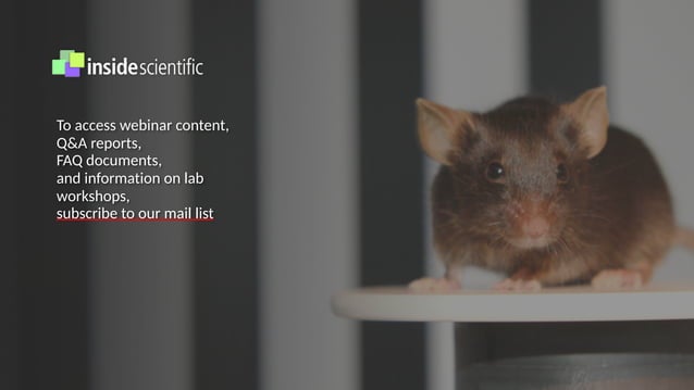 Measuring visual acuity and contrast sensitivity by optomotor reflex in ...