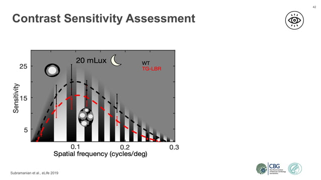 Measuring visual acuity and contrast sensitivity by optomotor reflex in ...