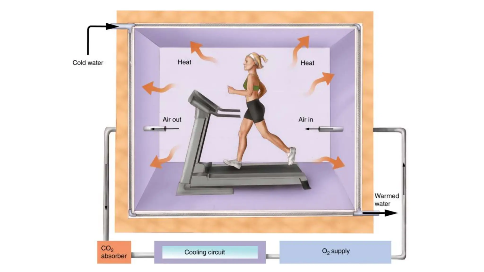 Cardiopulmonary Exercise Testing - VO2 measurement | PPT