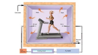 Cardiopulmonary Exercise Testing - VO2 measurement | PPT