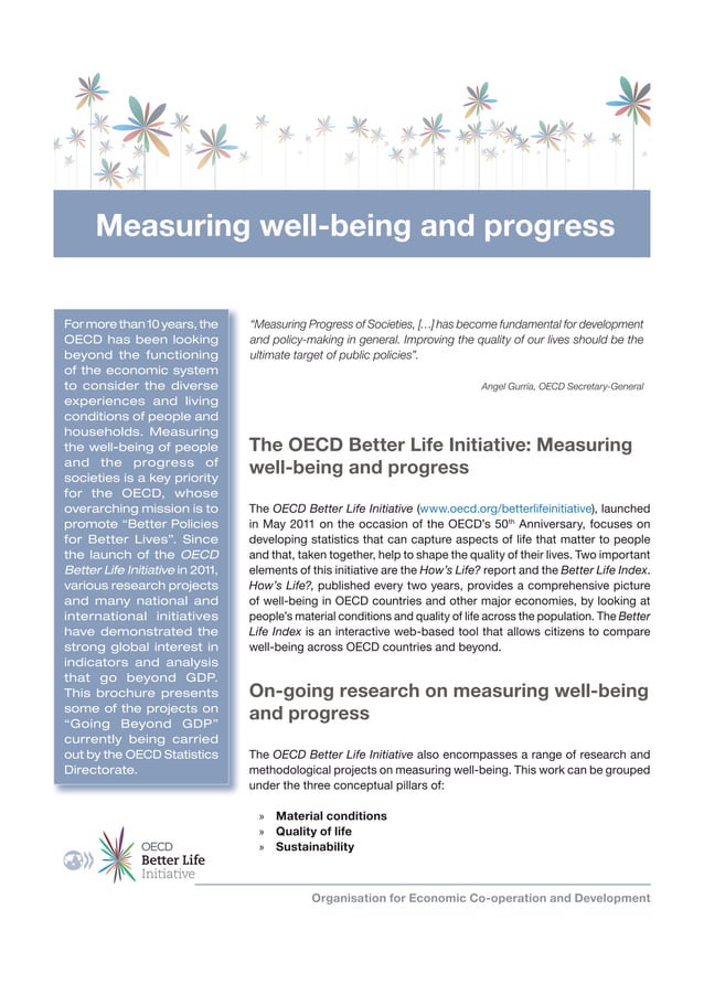 Measuring well being and progress brochure | PDF
