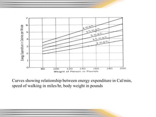 Measuring work by physiological methods | PPTX