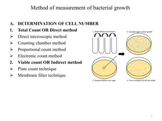Measurement of bacterial growth. Direct method and Indirect method. | PDF