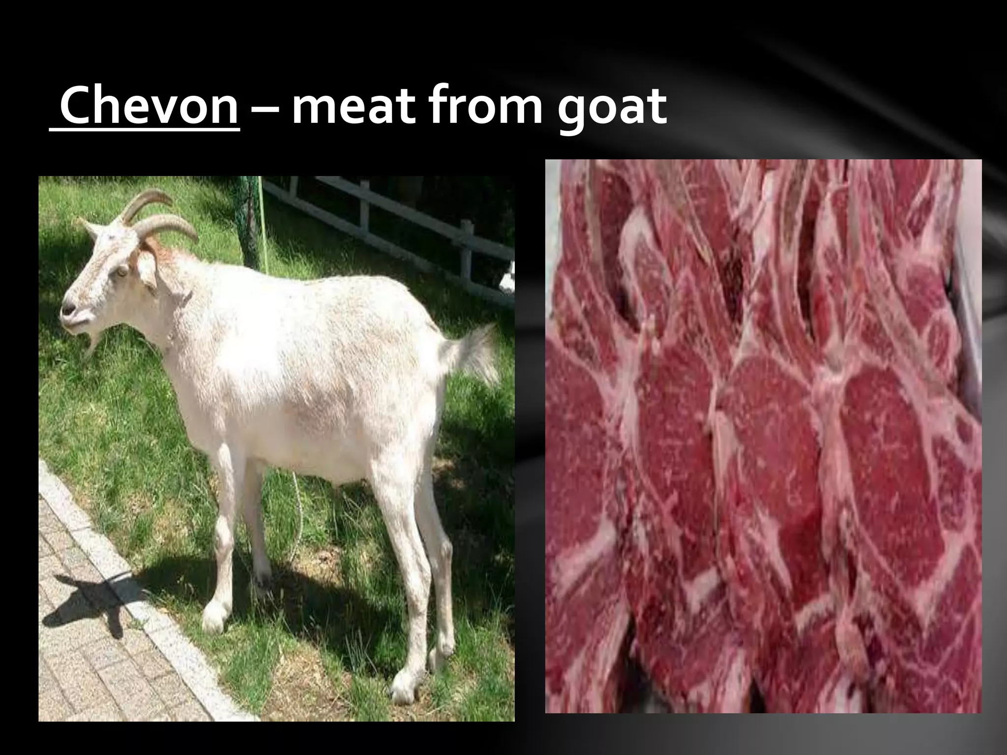 Meat | PPTX