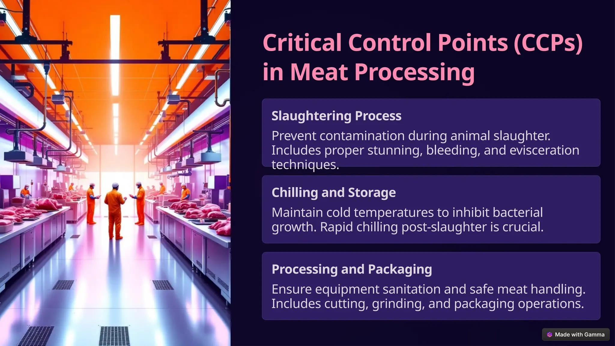 Meat-Hygiene - Ensuring Safety from Farm to Fork | PPTX