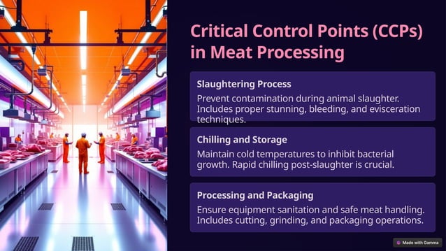 Meat-Hygiene - Ensuring Safety from Farm to Fork | PPTX