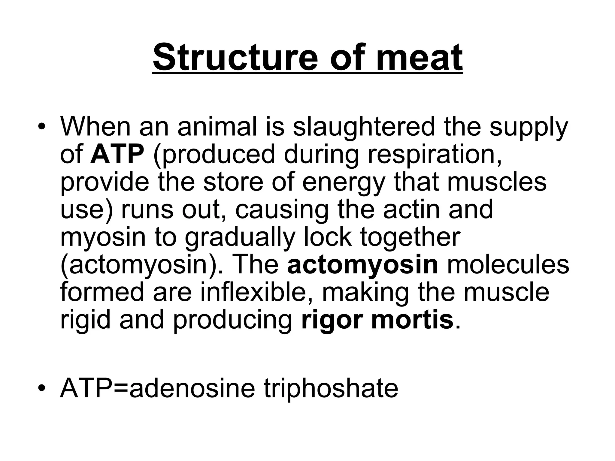 Meat and fish | PPT
