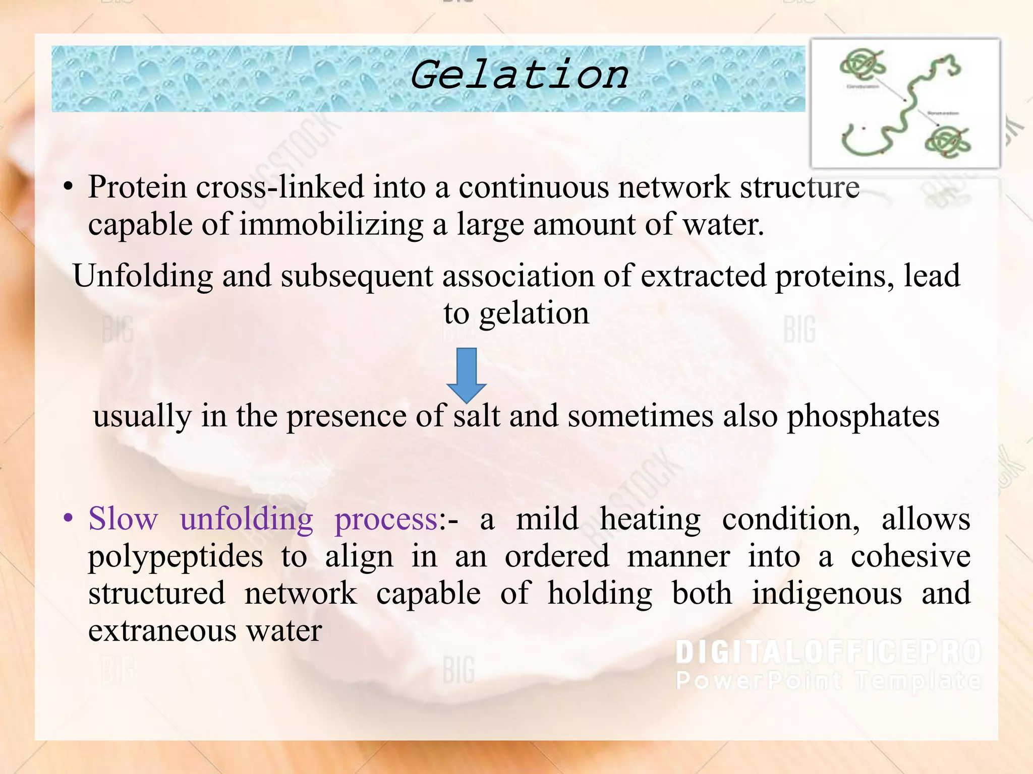 Meat and its functional proprties and basic meat processing procedure ...