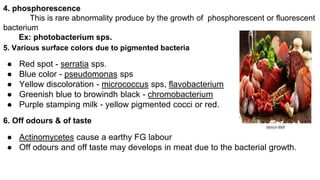Meat and Meat Products.pptx