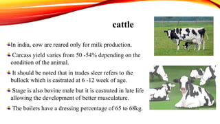 Meat and poultry | PPT