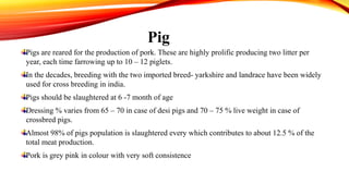 Meat and poultry | PPT
