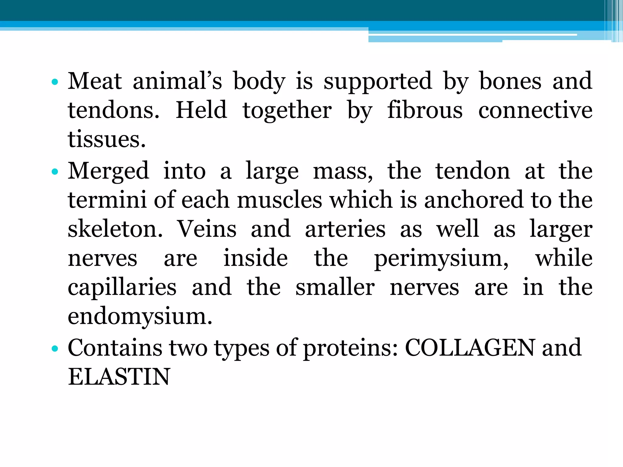 Meat and poultry | PPTX
