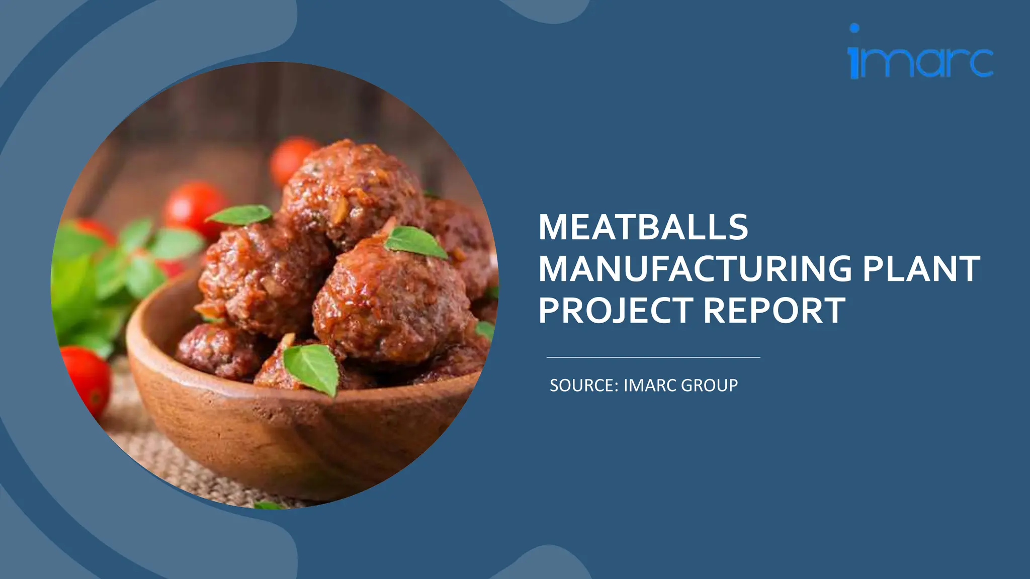 Detailed Project Report on Setting up a Meatballs Manufacturing Plant | PPT