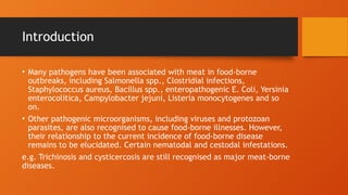 Common Meat Borne Diseases spread through contaminated meat | PPTX