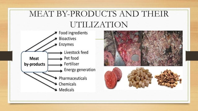 MEAT BY-PRODUCTS & THEIR UTILIZATION.pptx