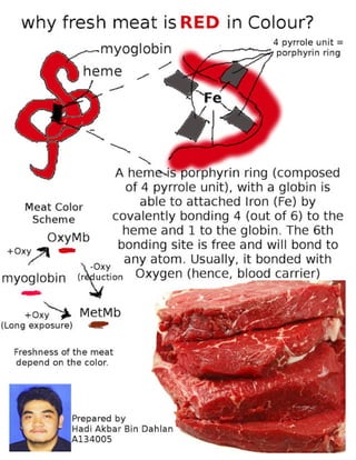 Meat color | PDF