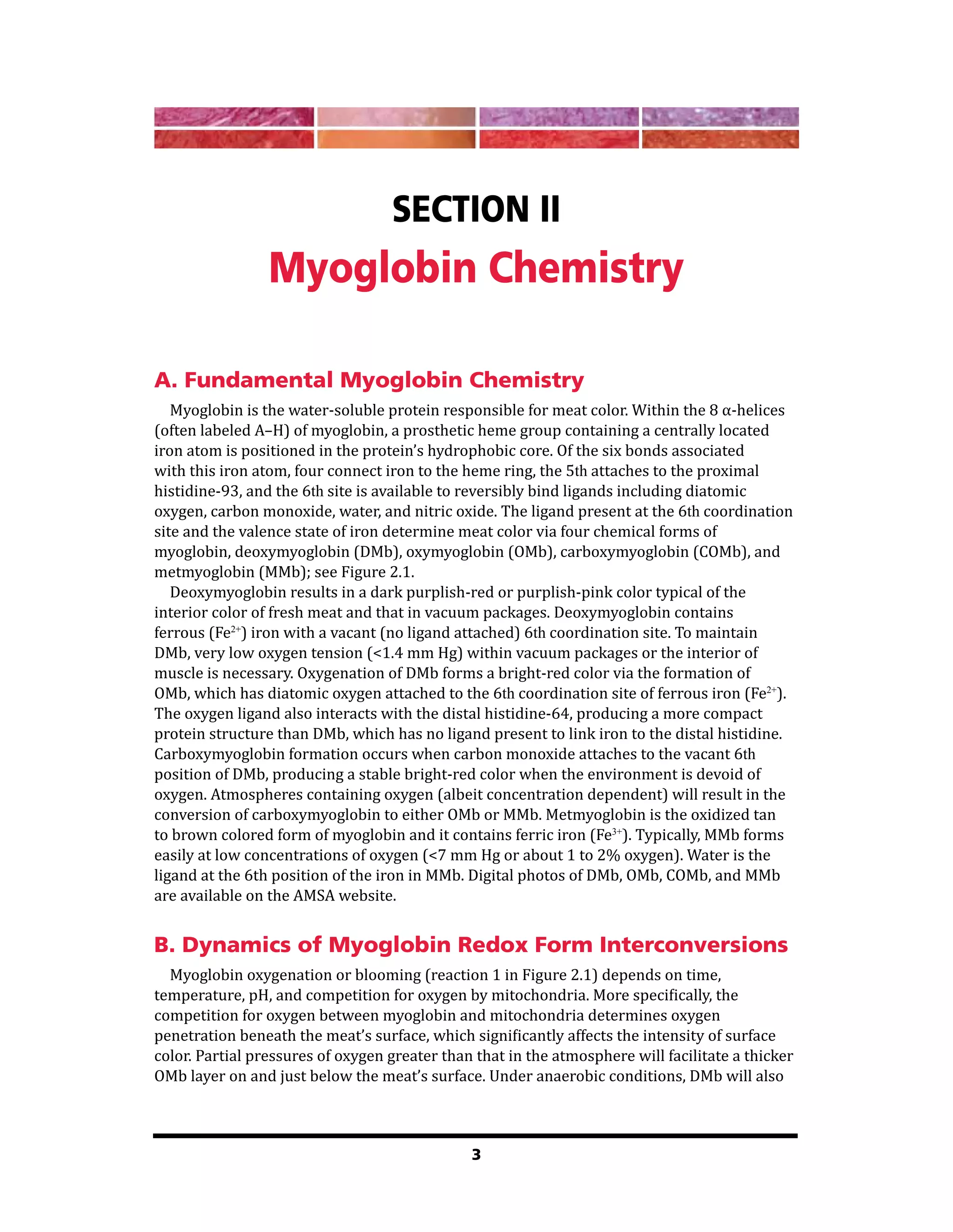 Meat Color Measurment Guidelines | PDF