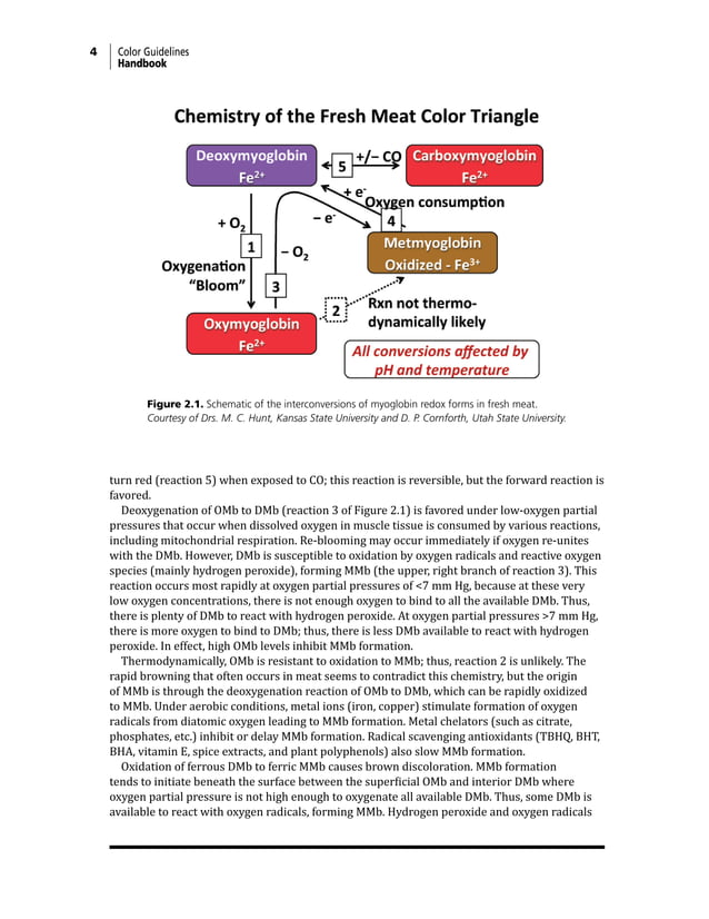 Meat Color Measurment Guidelines | PDF