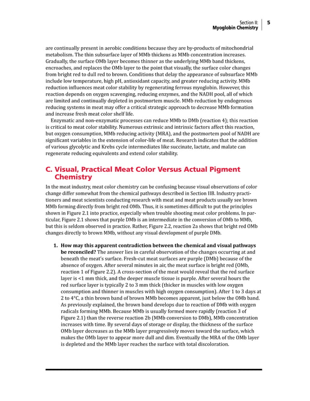Meat Color Measurment Guidelines | PDF