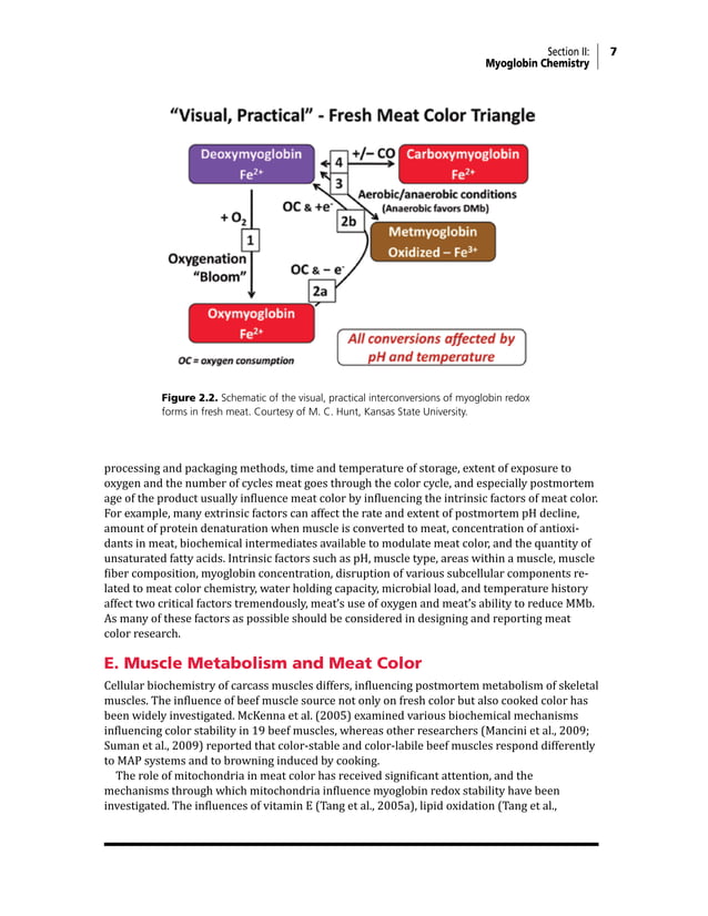 Meat Color Measurment Guidelines | PDF