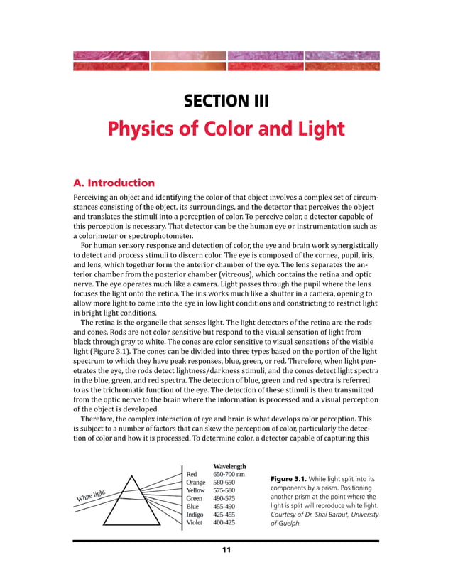 Meat Color Measurment Guidelines | PDF