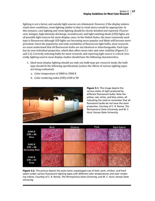 Meat Color Measurment Guidelines | PDF