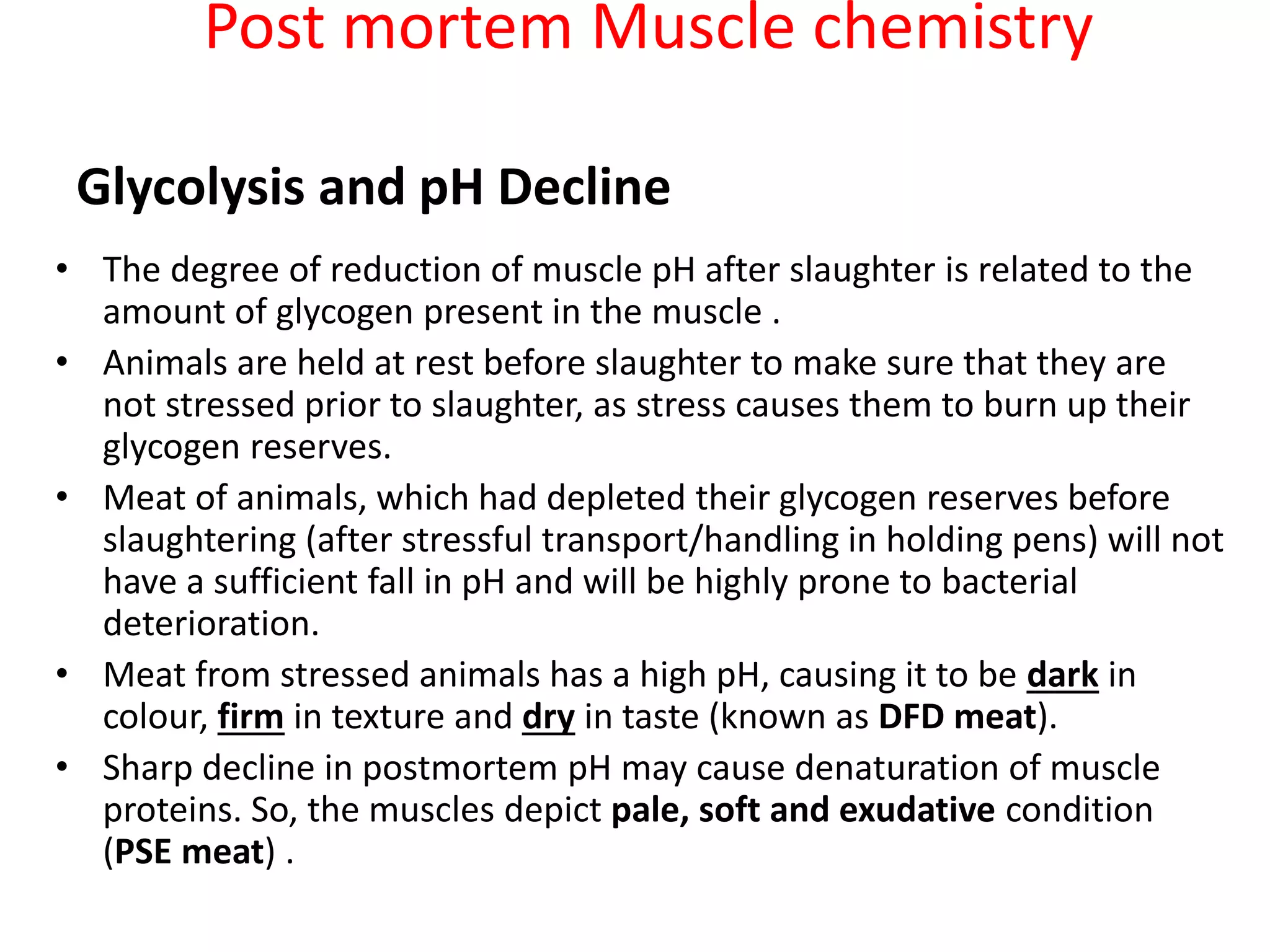 Meat composition | PPTX