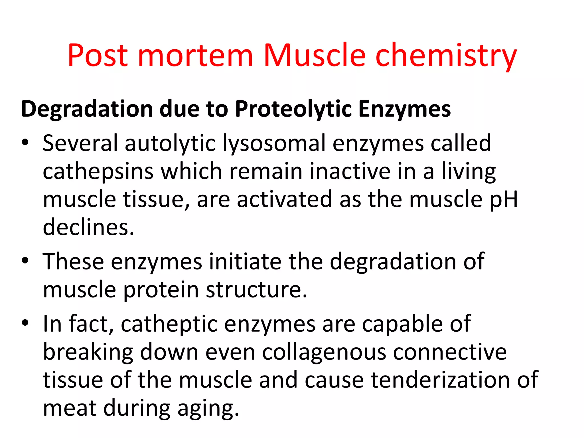 Meat composition | PPTX