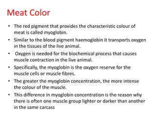 Meat composition | PPTX | Pet Supplies | Pets