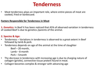 Meat composition | PPTX
