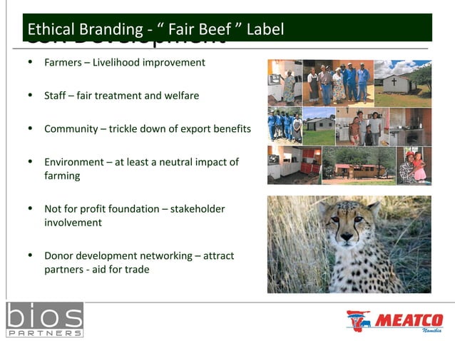 Meatco sustainable beef | PPT
