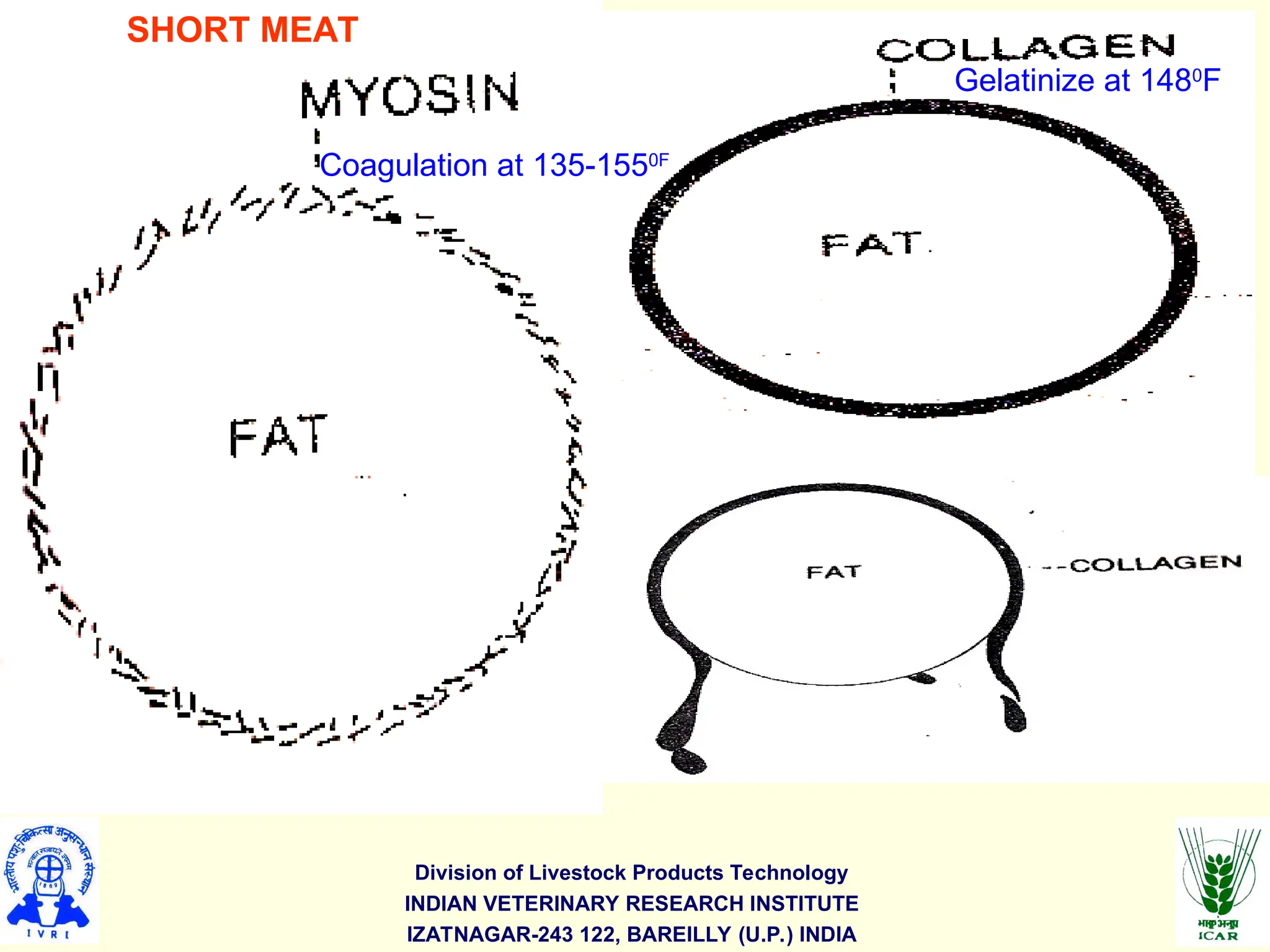 Meat Emulsion-Factors affecting emulsion stability.ppt