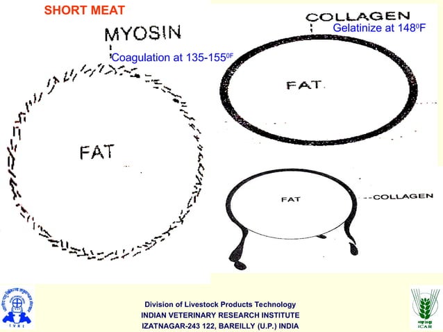 Meat Emulsion-Factors affecting emulsion stability.ppt
