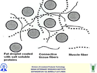 Meat Emulsion-Factors affecting emulsion stability.ppt