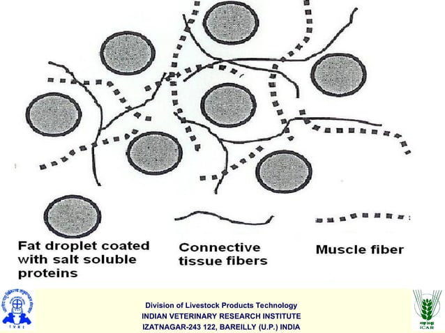 Meat Emulsion-Factors affecting emulsion stability.ppt