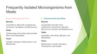 MEAT FINAL 799156.pptx BUNDEKHAND UNIVER | PPT