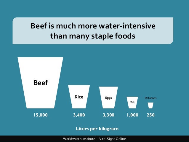 Meet your Meat: Trends and Impact of Meat Production